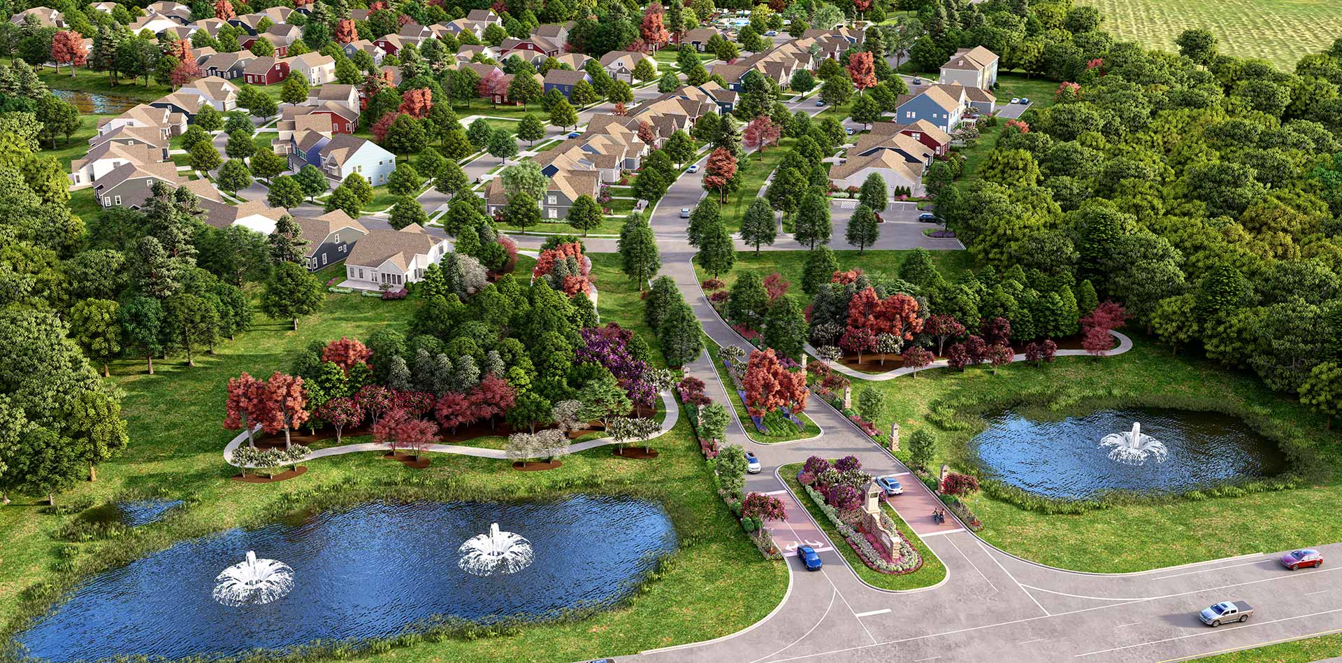 AVS 3D visual services